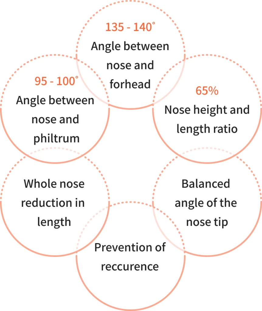 Long Nose Rhinoplasty with Cartilage | MINE Plastic Surgery