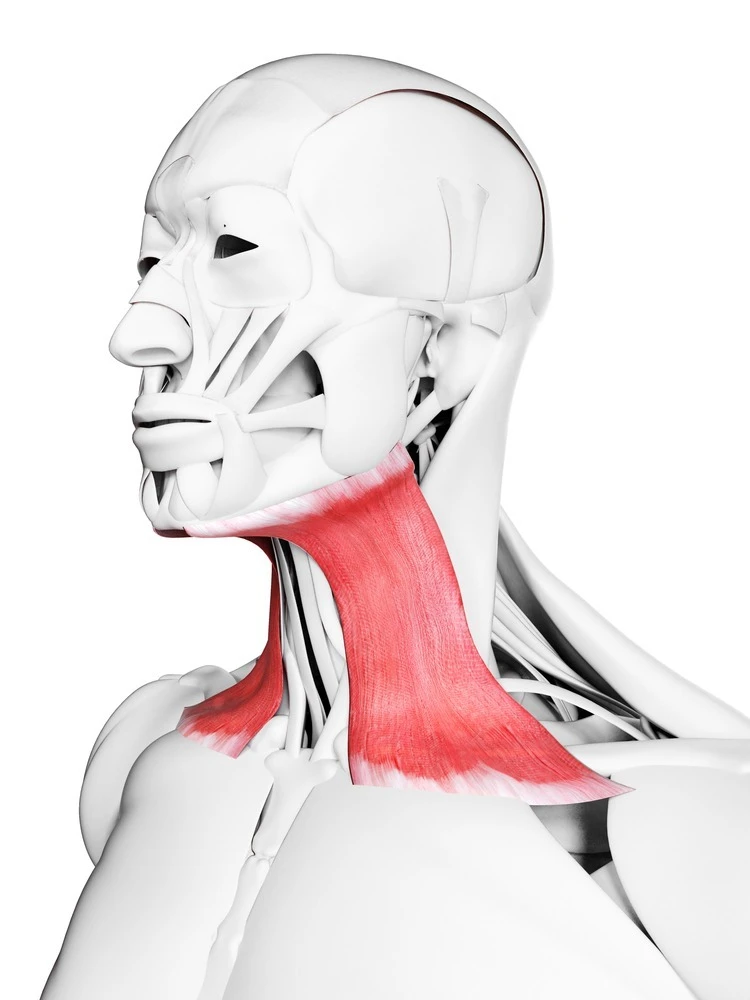 Jawline Sagging after Facial Contour | MINE Plastic Surgery